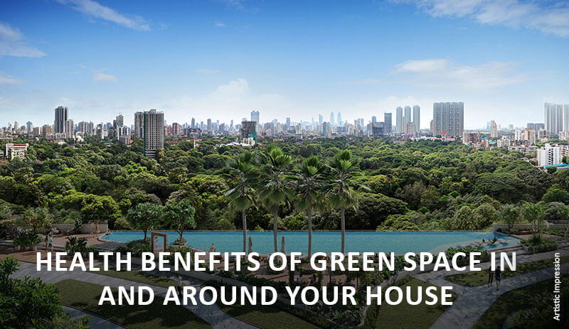 Health Benefits of Greenery in and Around Your House