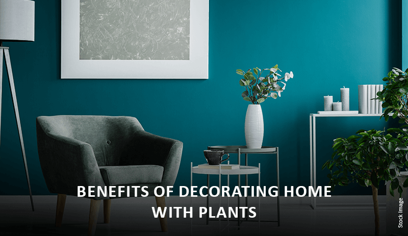 5 Benefits of Decorating Your Home with Plants